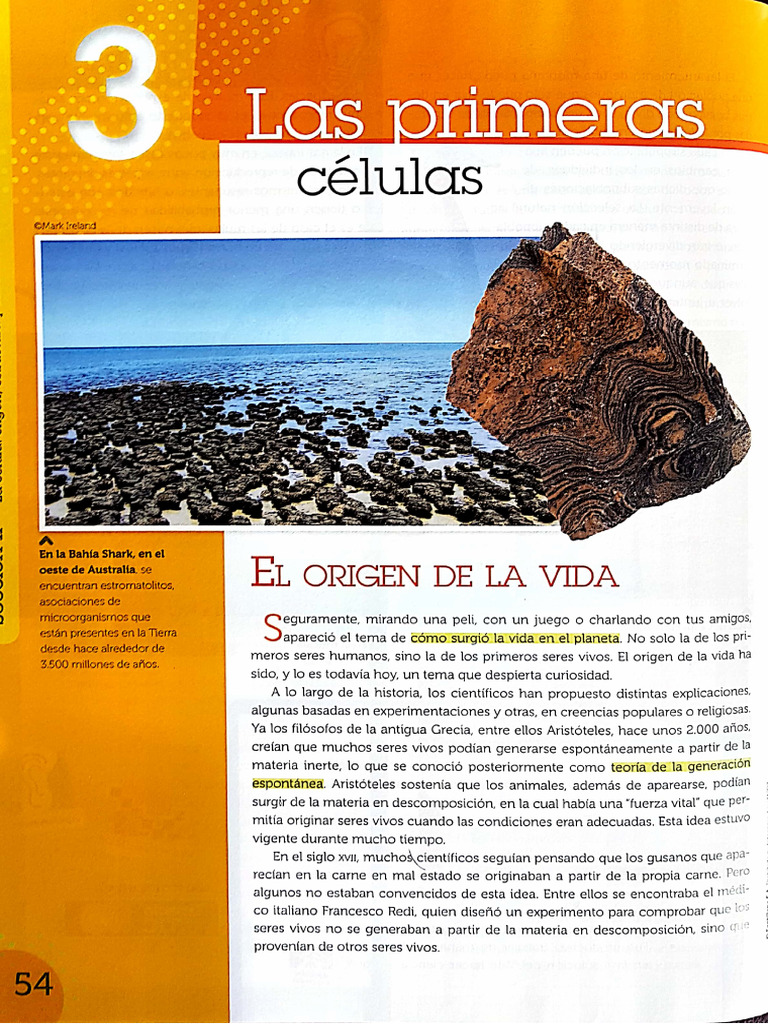 Cap 3 Los Primeras Celulas | PDF