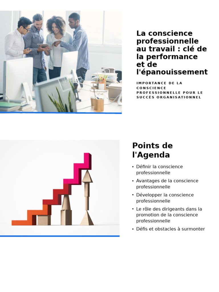 La Conscience Professionnelle Au Travail | PDF | Motivation | Motivant