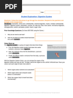 Designing Your Digestive System | PDF | Digestion | Small Intestine