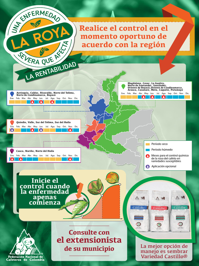 Control de roya del cafeto por región | PDF
