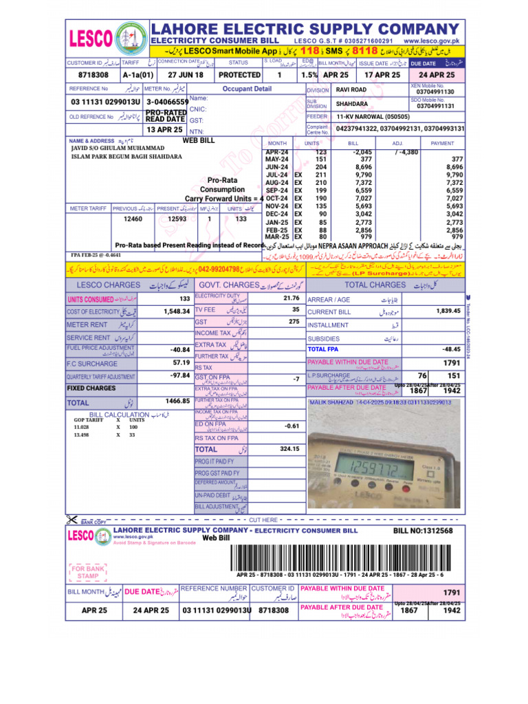 Lesco- Web Bill | PDF