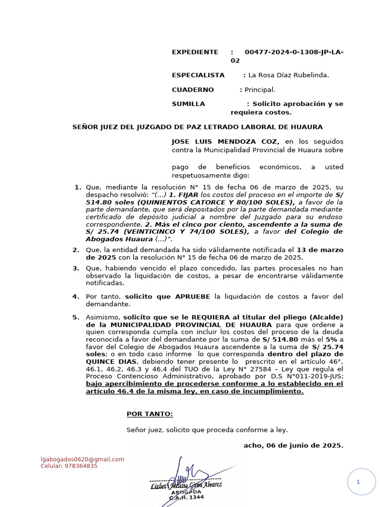Mendozacoz - Solicito Aprobacion de Costos y Se Requiera - Exp 477-2024 | PDF | Justicia ...
