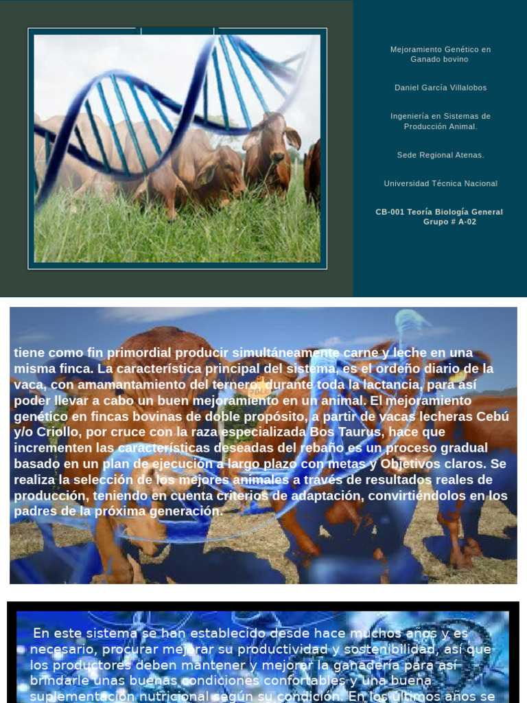 Presentación Mejoramiento Genetico | PDF | Vacas | Biología