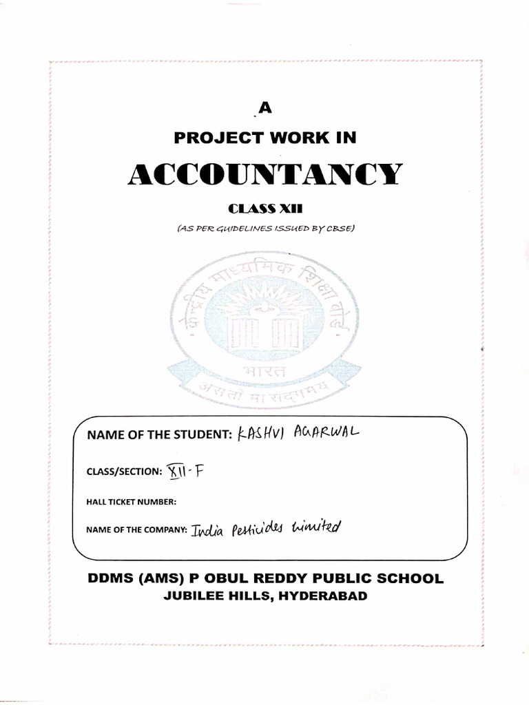 Accountancy Project | PDF