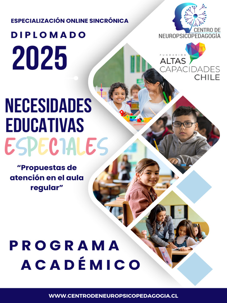 Programa Dip Nee 2025 | PDF | Autismo