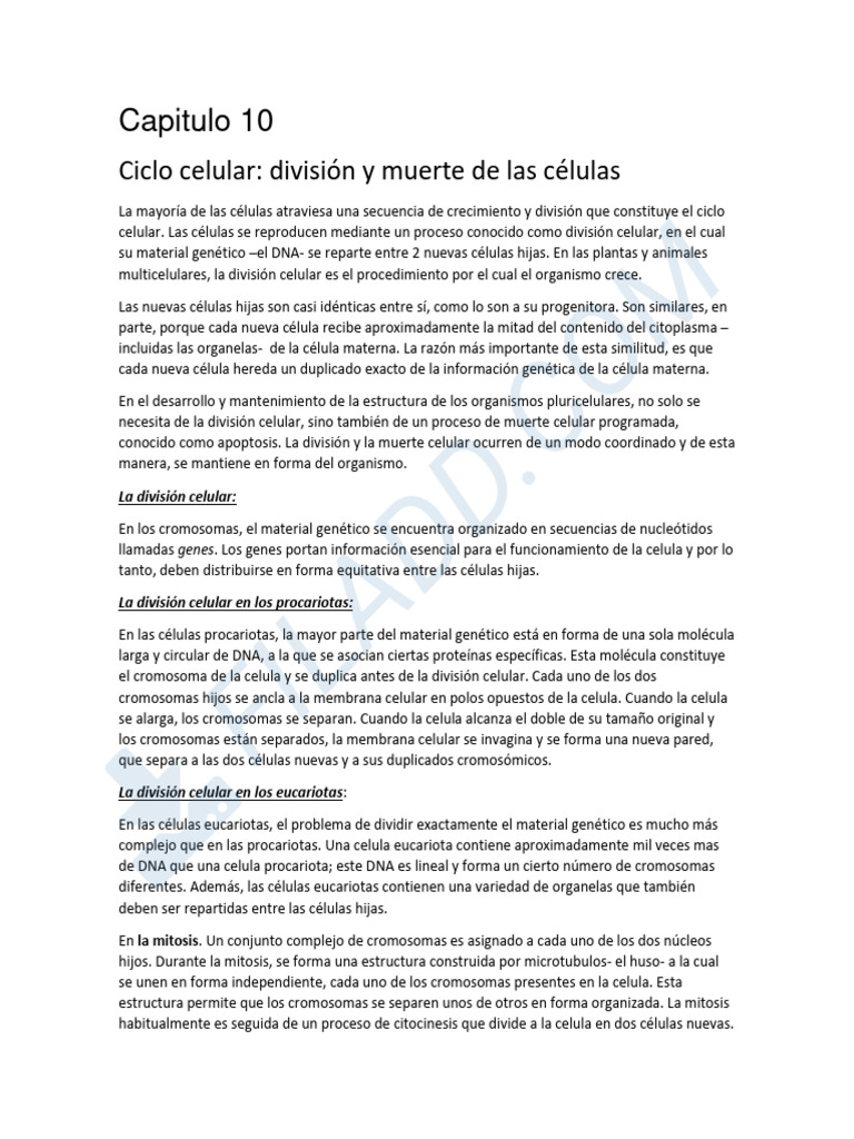 Resumen - Cap 10 | PDF | Mitosis | Biología Celular)