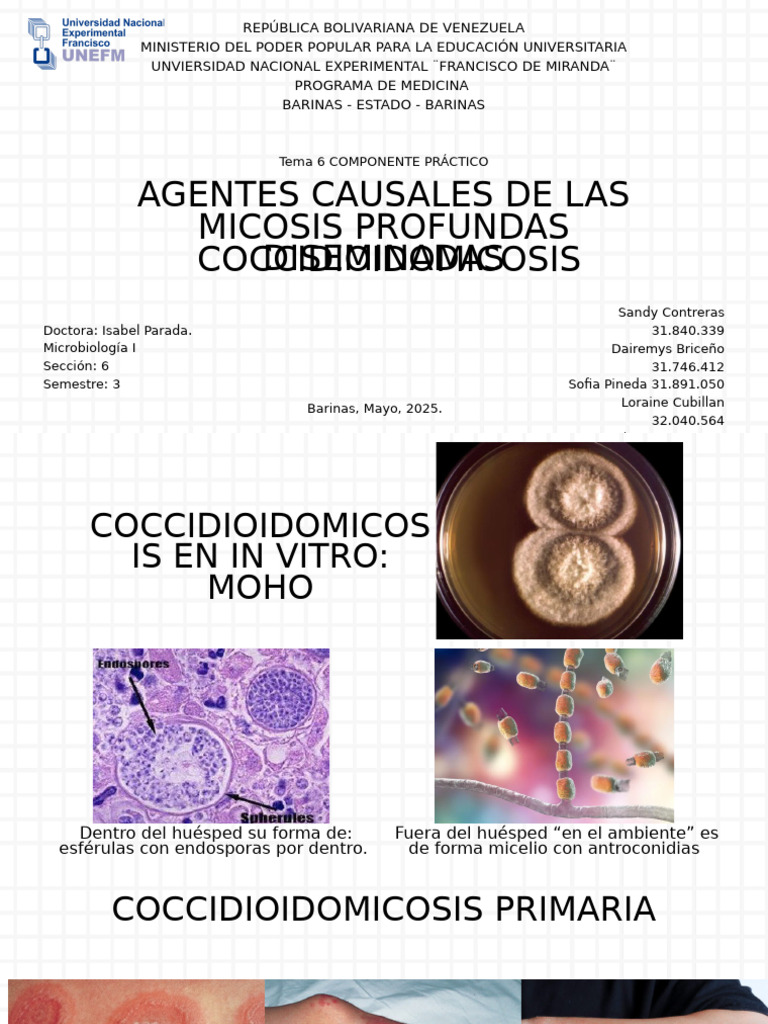 Seminario Micro Tema 6 Coccidioidomicosis | PDF | Especialidades Medicas | Medicina