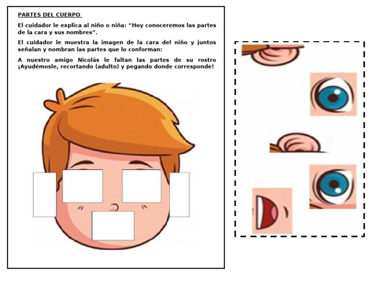 Partes Del Cuerpo (Actividad 1) | PDF