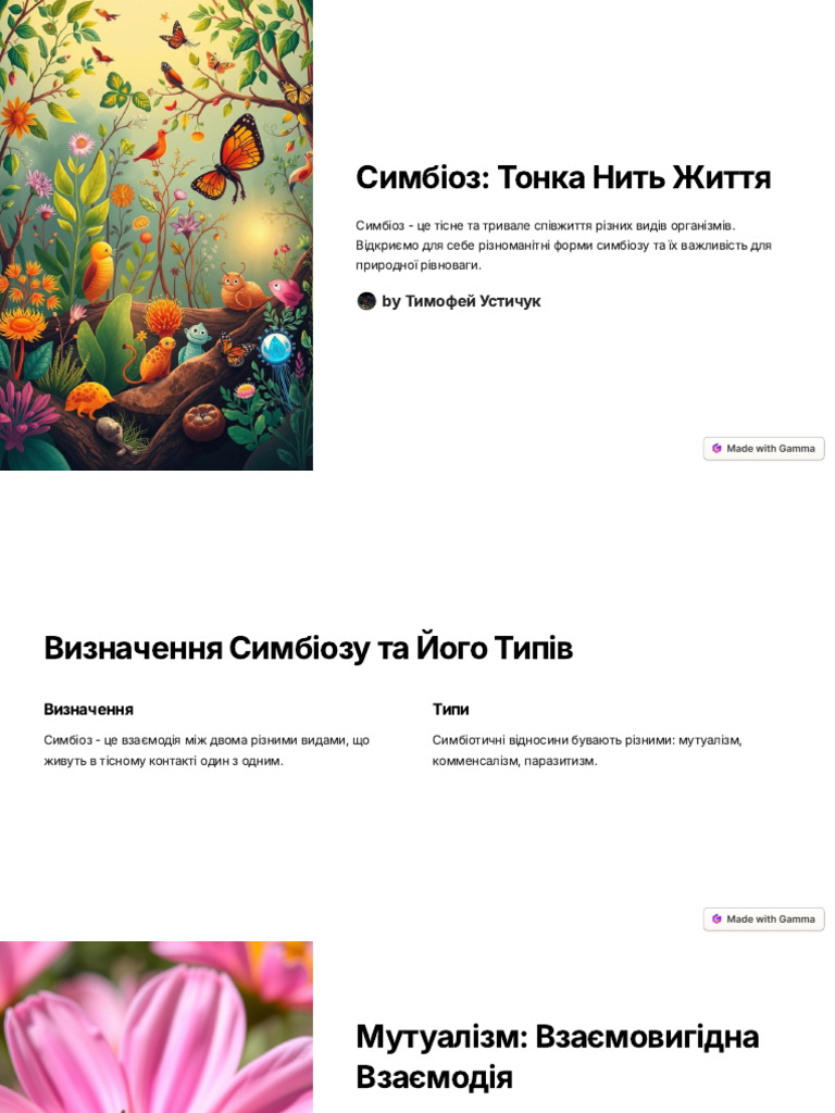 The Nobel Prize Honoring Extraordinary Achievements | PDF