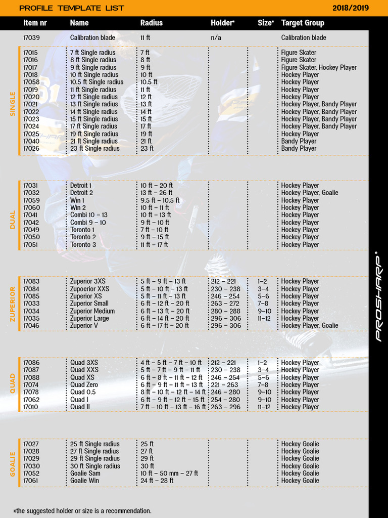 Hockey Player Profile Template List | PDF | Ice Hockey | Sports