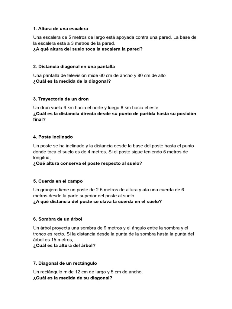 Práctica Pitágoras | PDF | Triángulo | Geometría Elemental