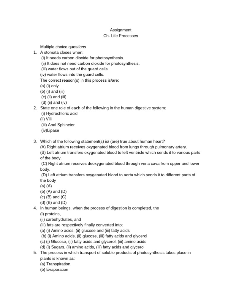 Life Processes Assignment | PDF | Digestion | Human Digestive System