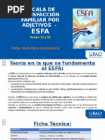 Escala de Satifacción Familiar (Esfa) | PDF