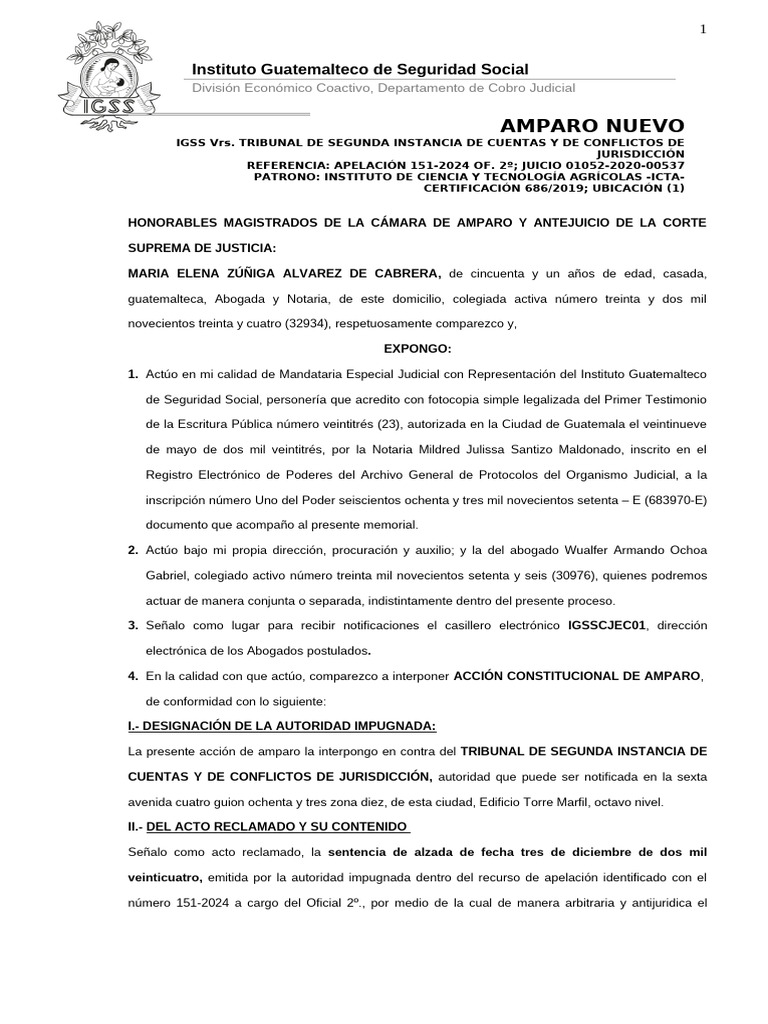 Amparo Nuevo Por Prescripción-31941 Icta 686-2019 | PDF | Debido al ...