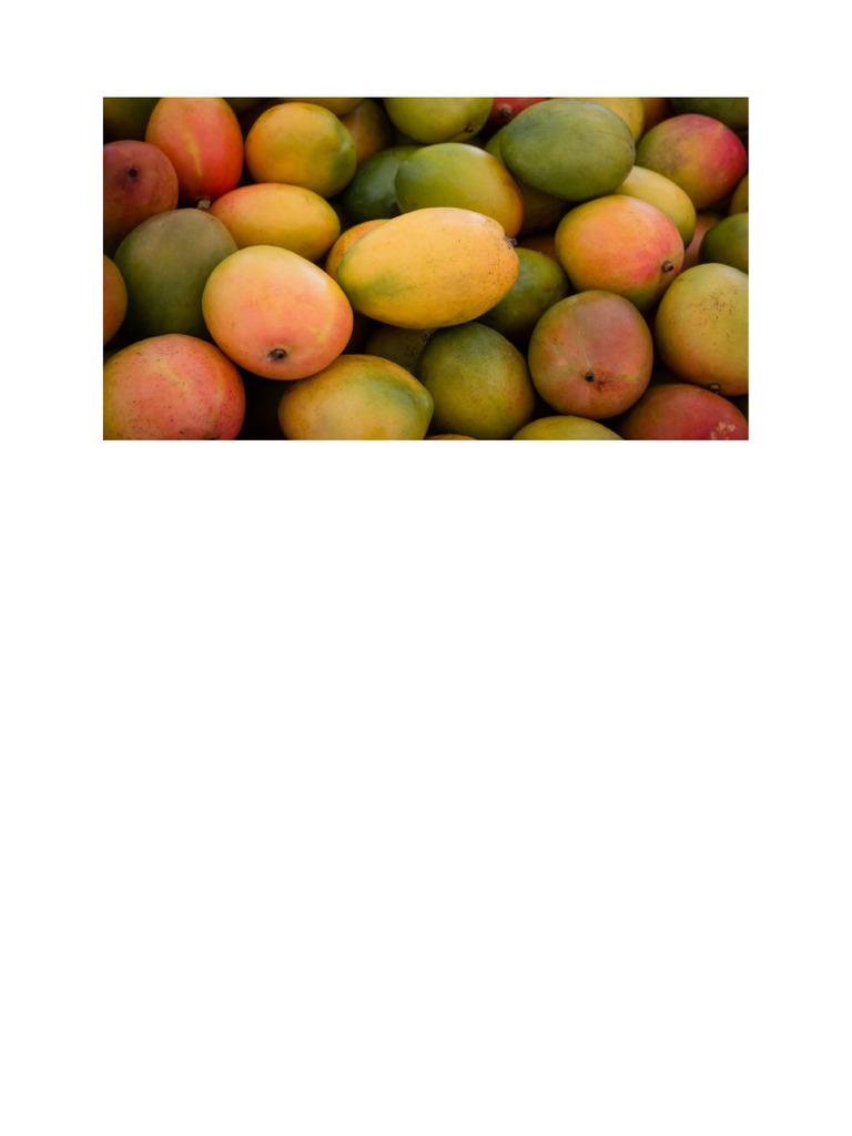 Mangoes | PDF