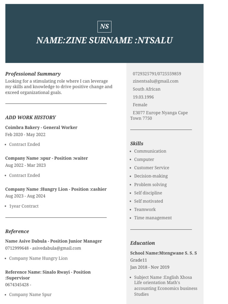 Name Zine Resume 180 | PDF