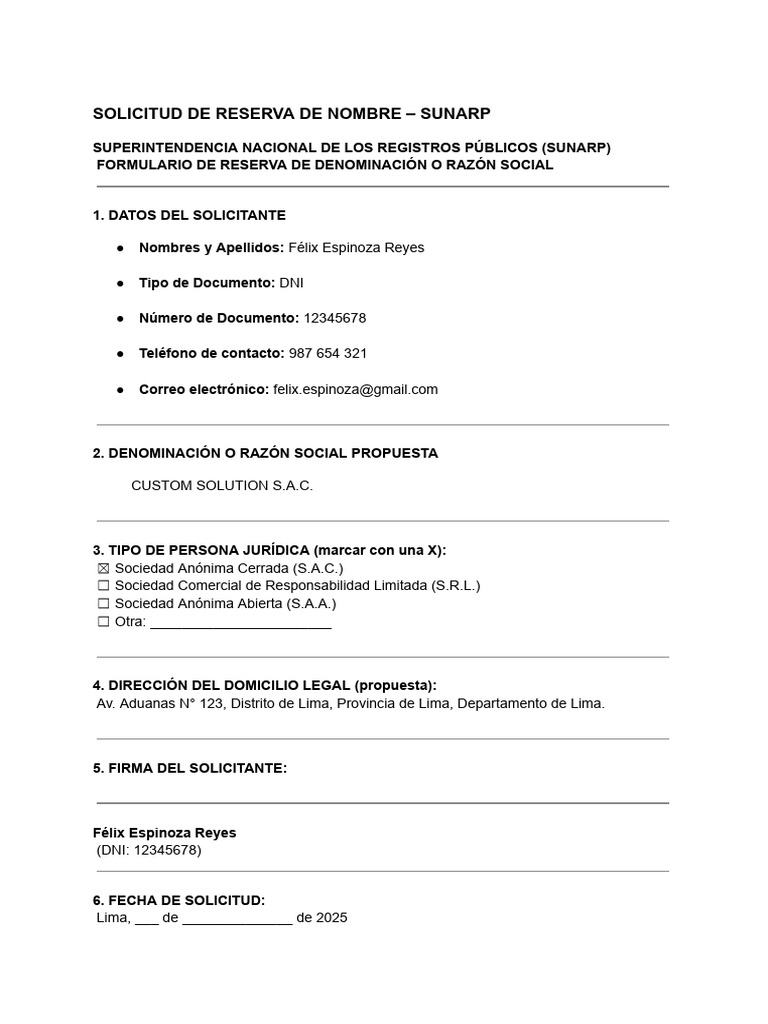 Solicitud de Reserva de Nombre - Sunarp Custom Solution S.A.C. | PDF