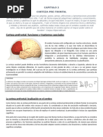 Comparativa de la Corteza Prefrontal | PDF | Corteza prefrontal | Las ...