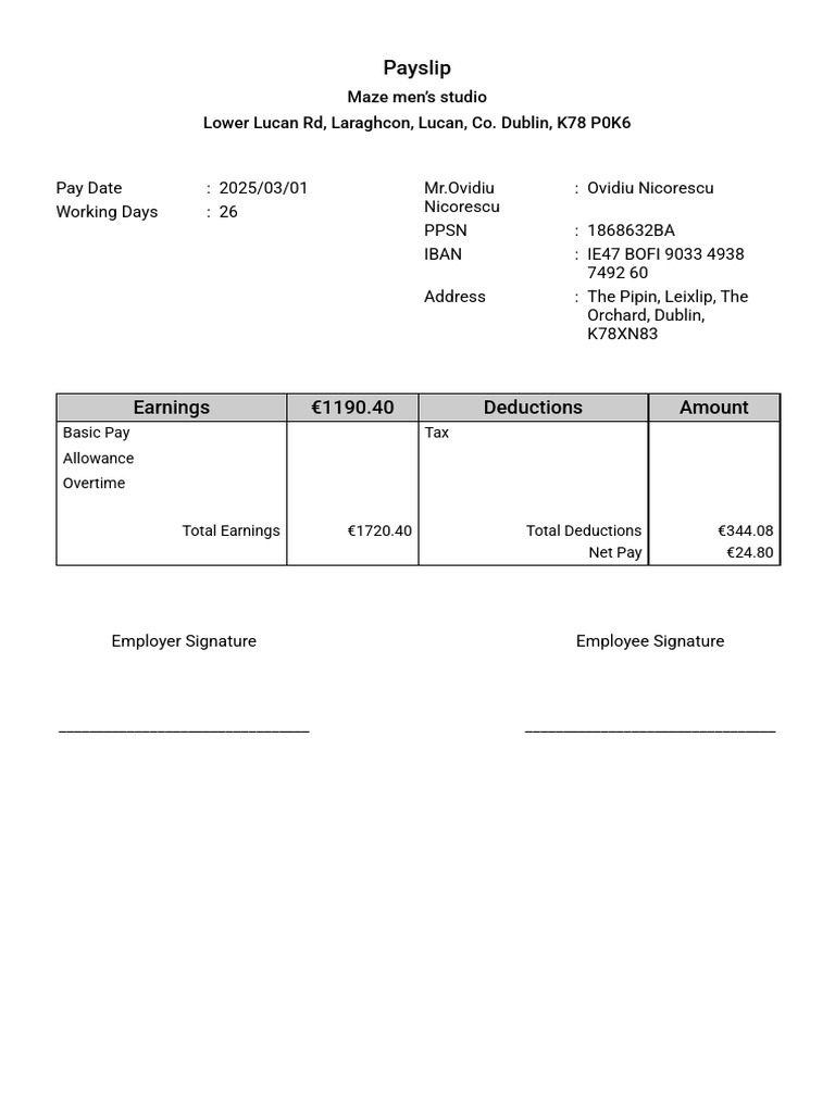 Payslip 1743531021 | PDF