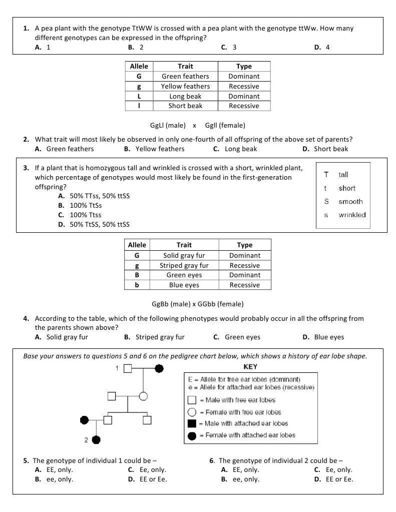 Base Your Answers To Questions 5 and 6 On The Pedigree Chart Below ...