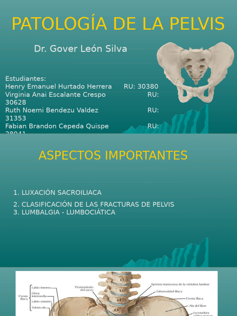 Patología de La Pelvis | PDF | Pelvis | Dolor lumbar