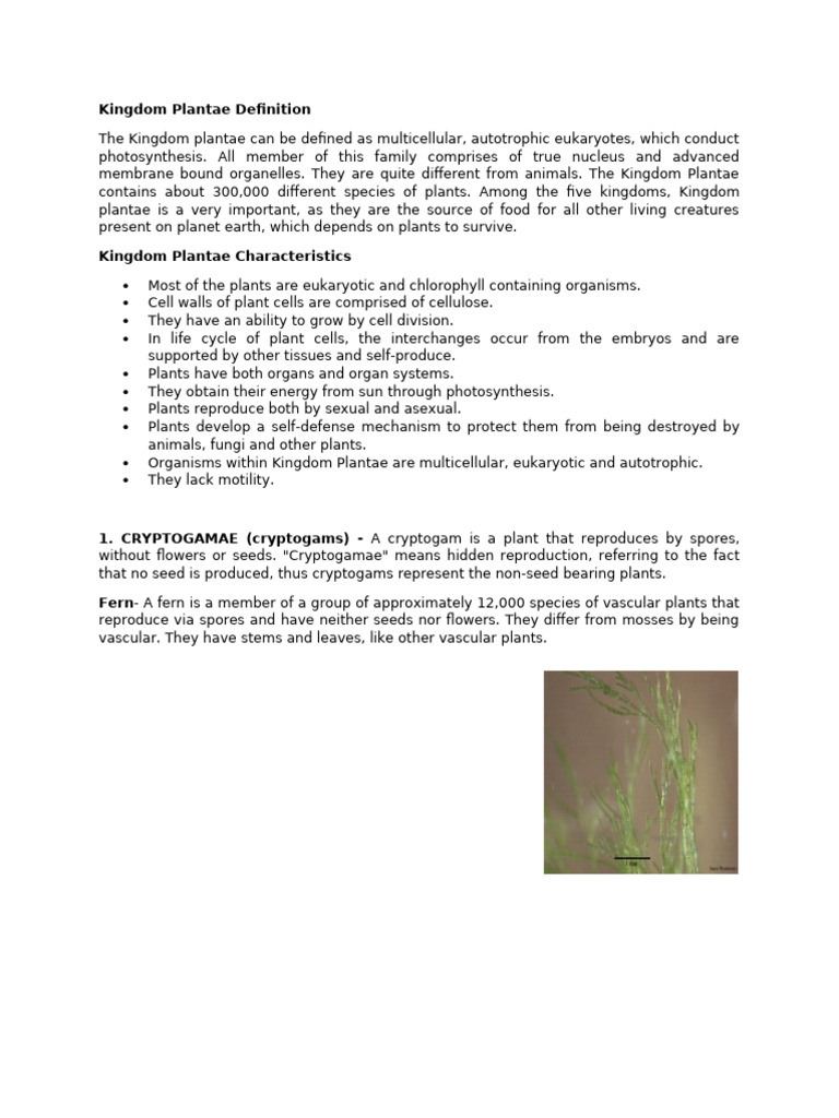 Kingdom Plantae Overview and Definition | PDF | Plants | Botany