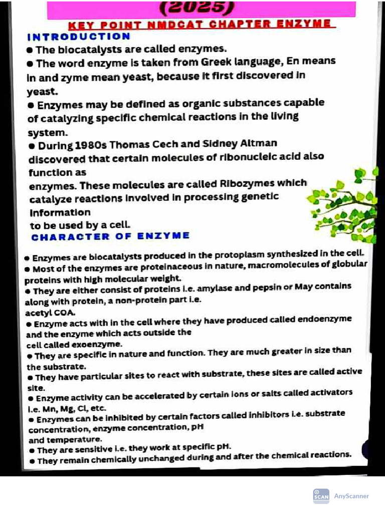 Biology Chapter Enzymes Key Points | PDF