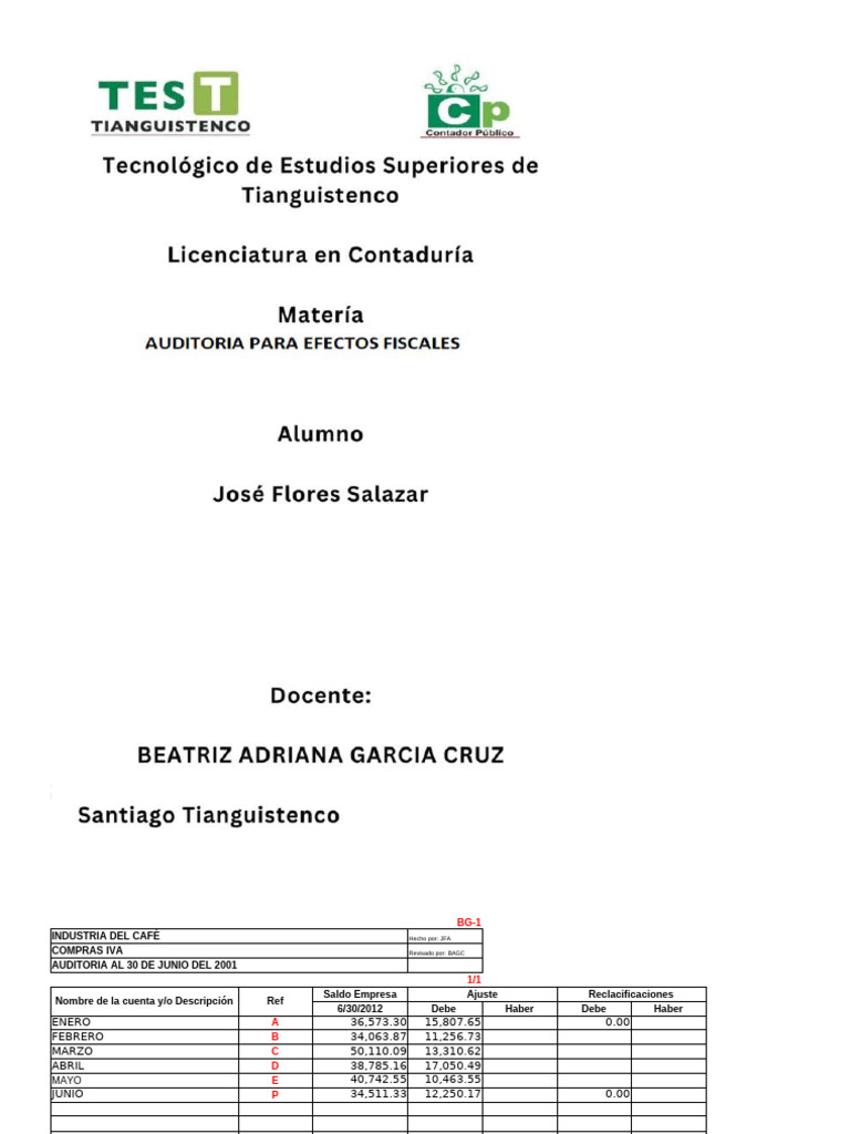 Auditoría Financiera de la Industria del Café | PDF | Auditoría ...