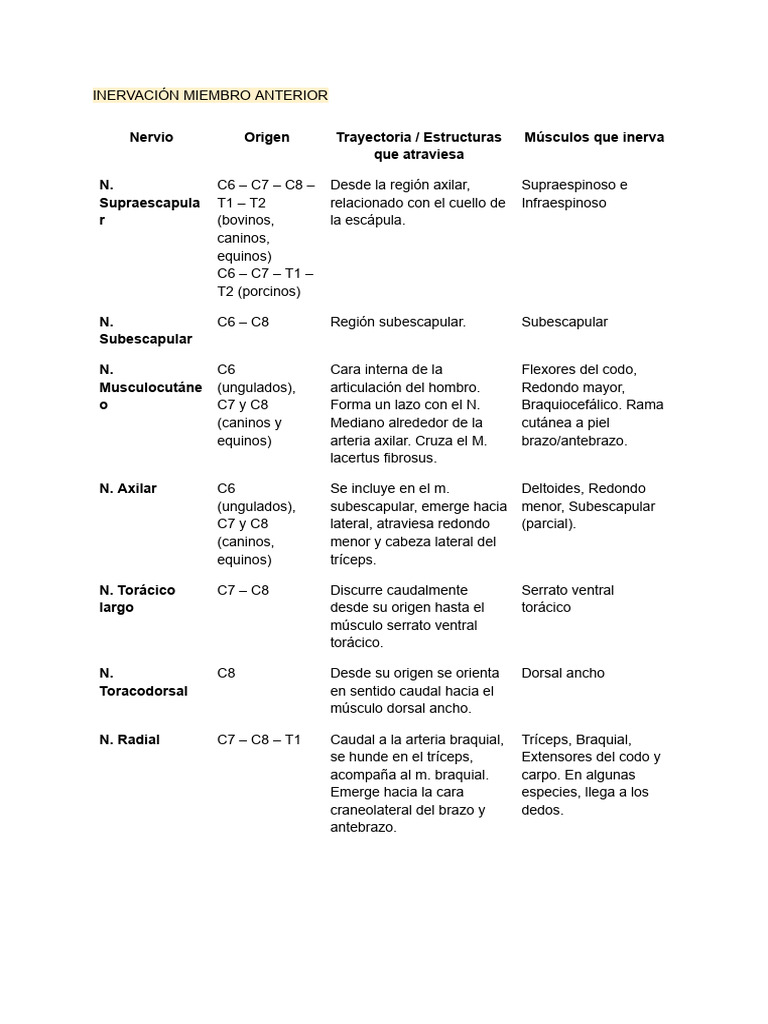 Cuadros | PDF | Articulaciones | Tejido suave