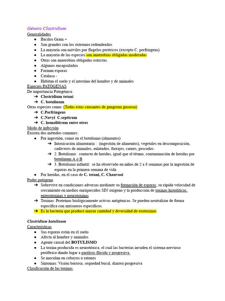Repaso Micro 2 Teoria Final | PDF | Virus | Hongo