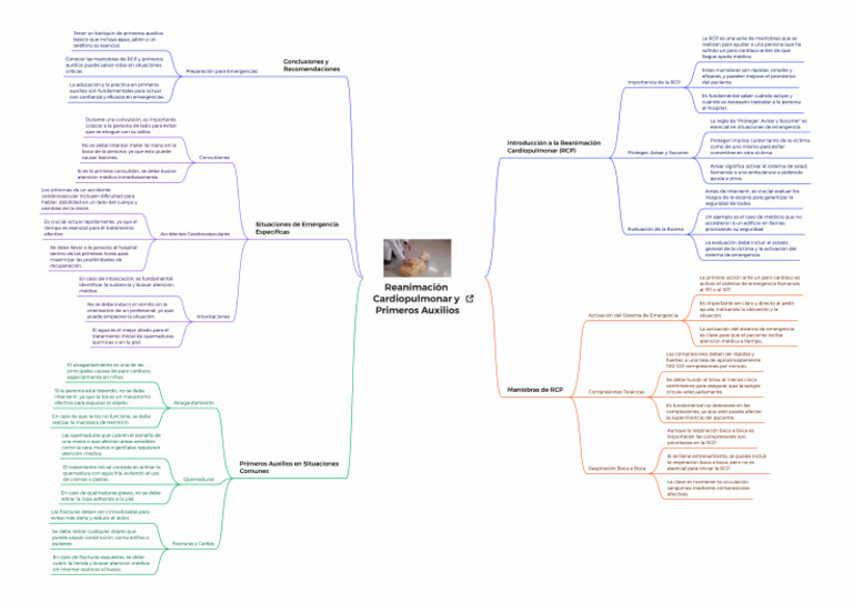 Reanimación Cardiopulmonar y Primeros Auxilios | PDF | Reanimación cardiopulmonar | Paro cardíaco