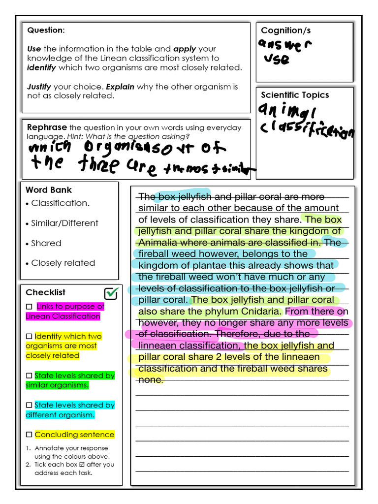 Levels of Classification Template | PDF | Cognitive Science | Cognition