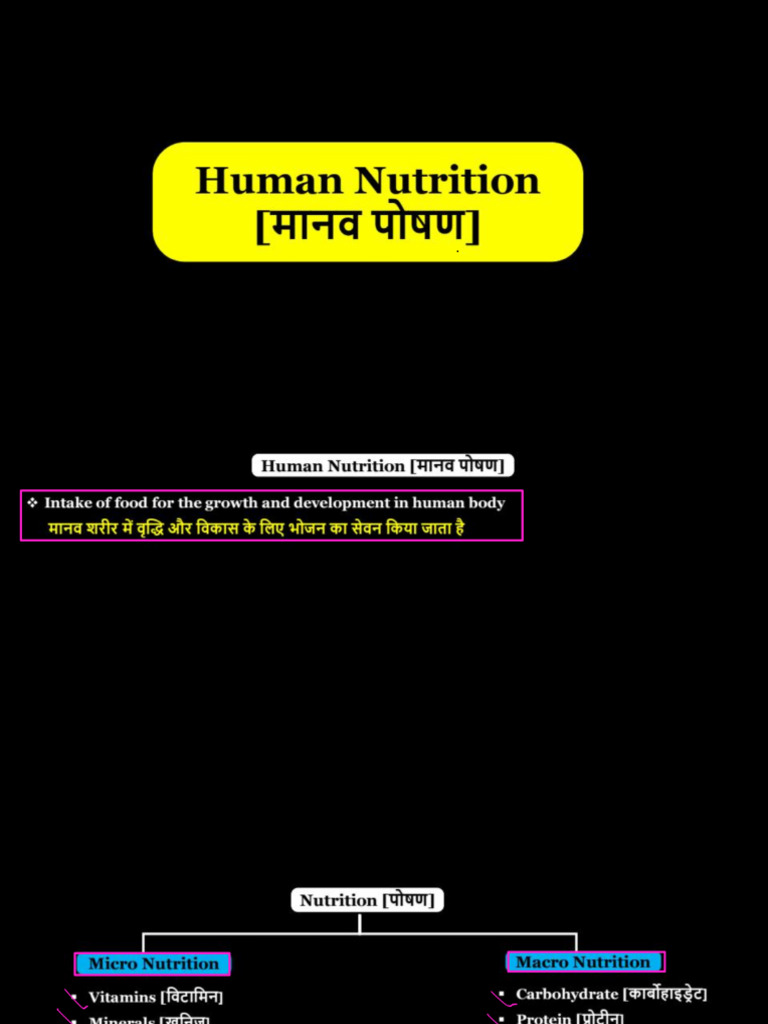 Human Nutrition Hell Month PDF | PDF