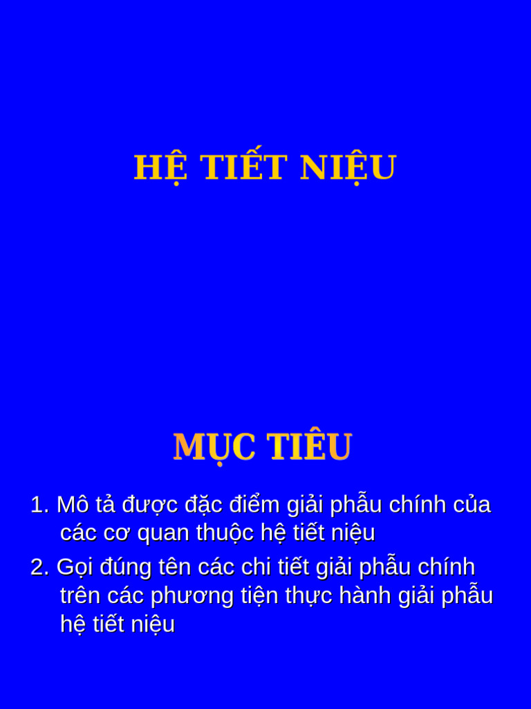 Giai Phau He Tiet Nieu - Noi Tiet-Sinh Duc | PDF