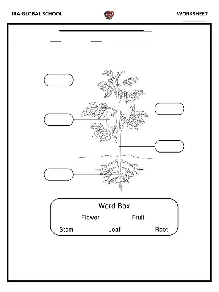 Science 10 Jan | PDF