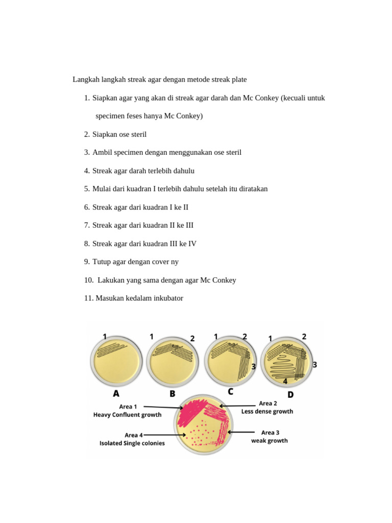 Metode Streak Plate untuk Agar Darah | PDF