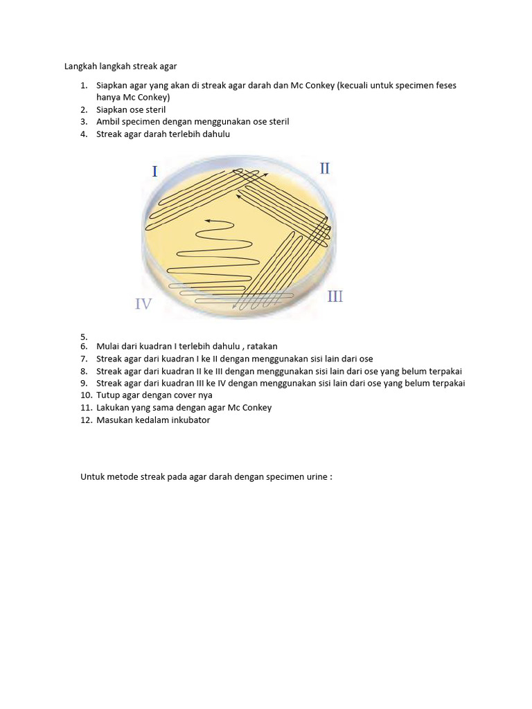 Streak Agar | PDF