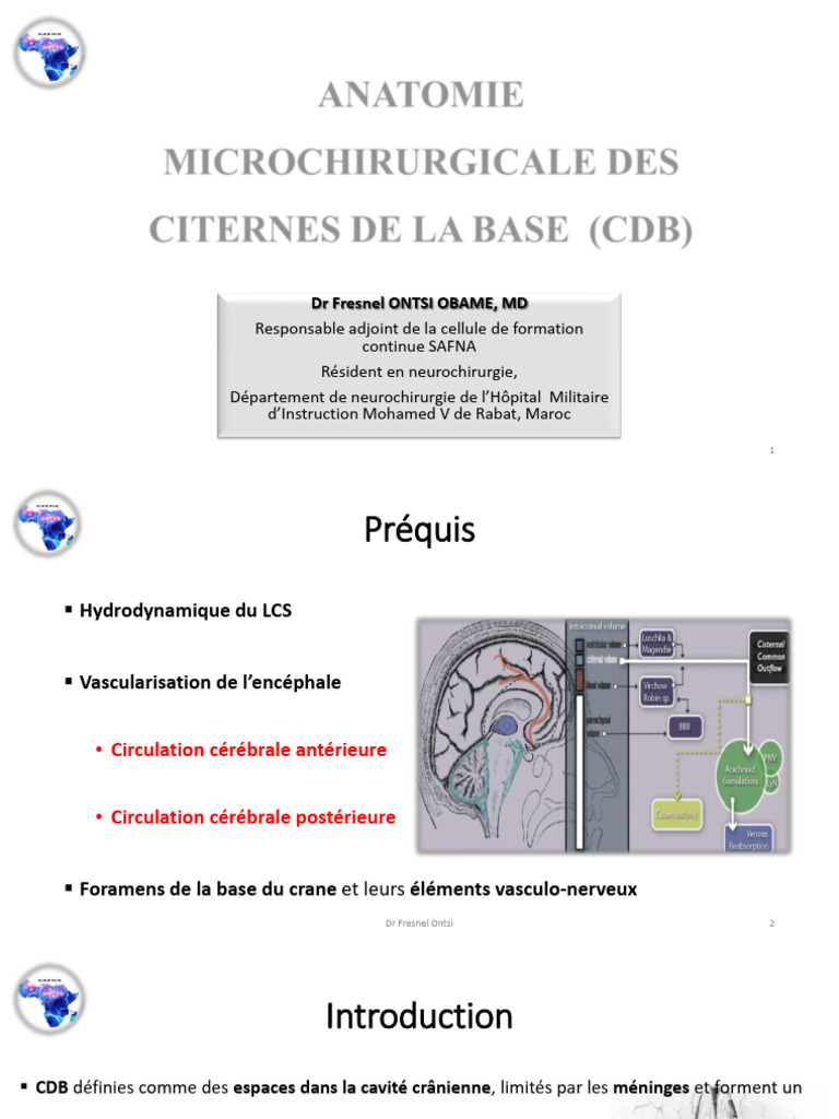 Anatomie des Citernes de la Base | PDF | Anatomie humaine | Tête et cou ...