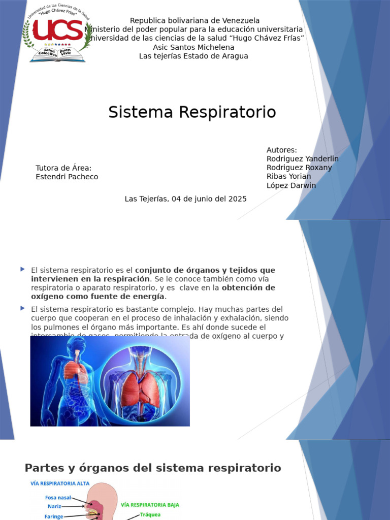 Sistema Respiratorio - PPTM | PDF | Sistema respiratorio | Respiración