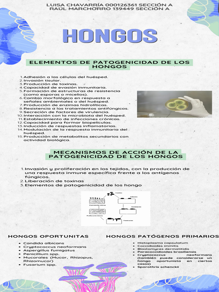 Hongos Info - 20240322 - 221753 - 0000 | PDF