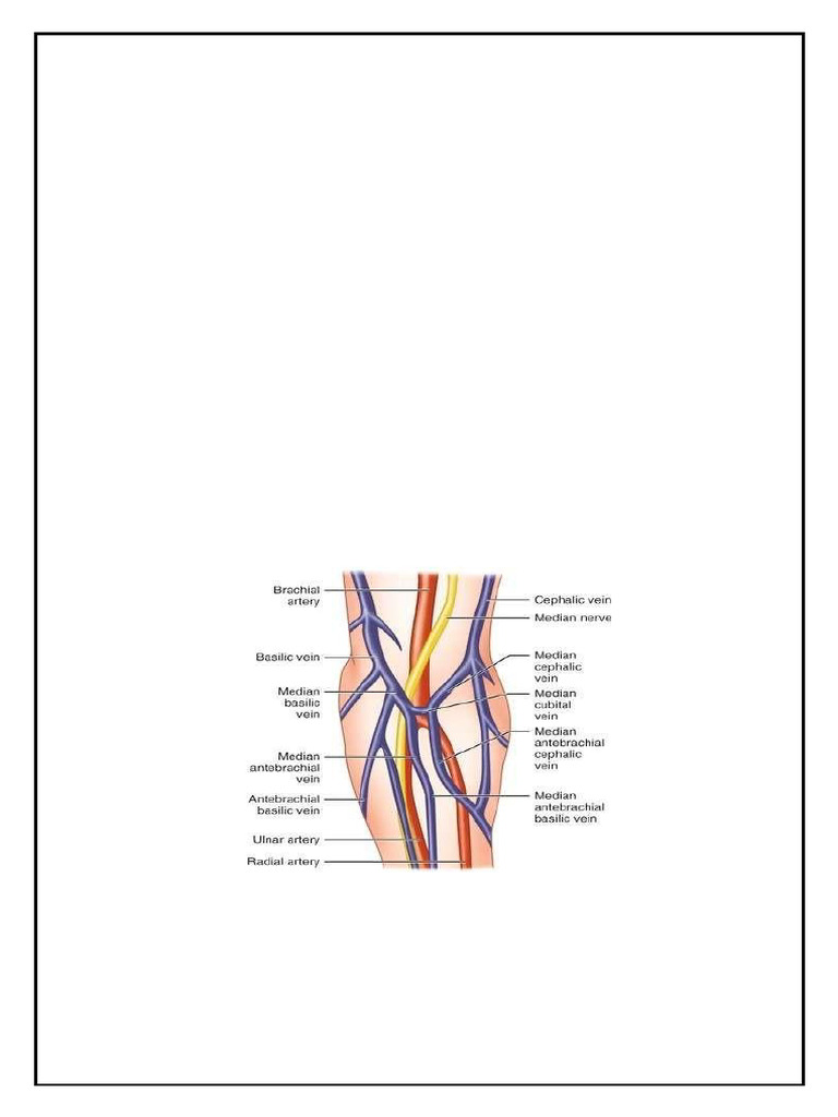 Teknik Venipuncture untuk Pengambilan Darah | PDF