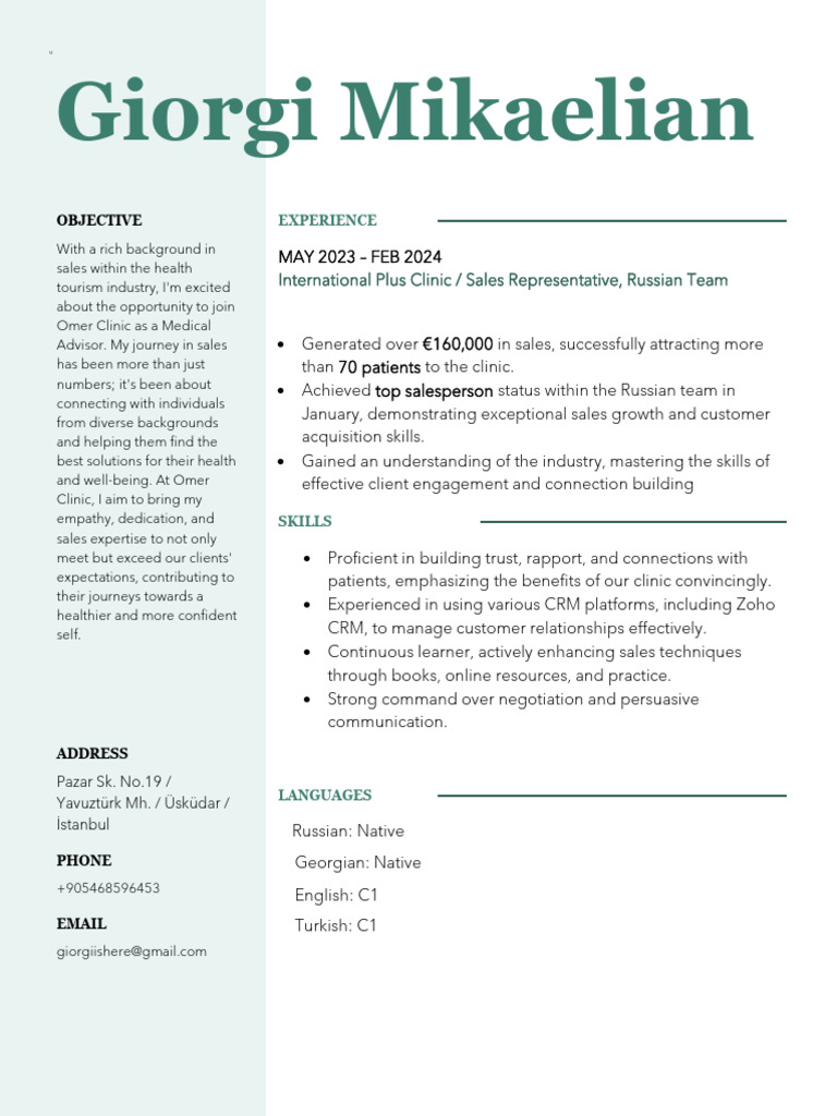 Giorgi Mikaelian - CV2 | PDF