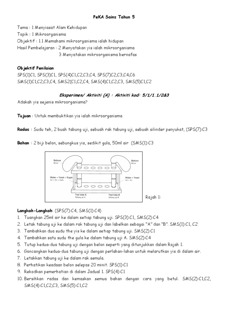 PeKA Sains Tahun 5 | PDF