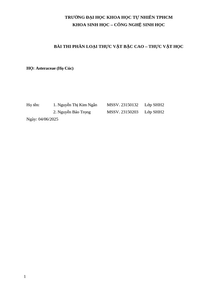 Template TVH 2025 | PDF
