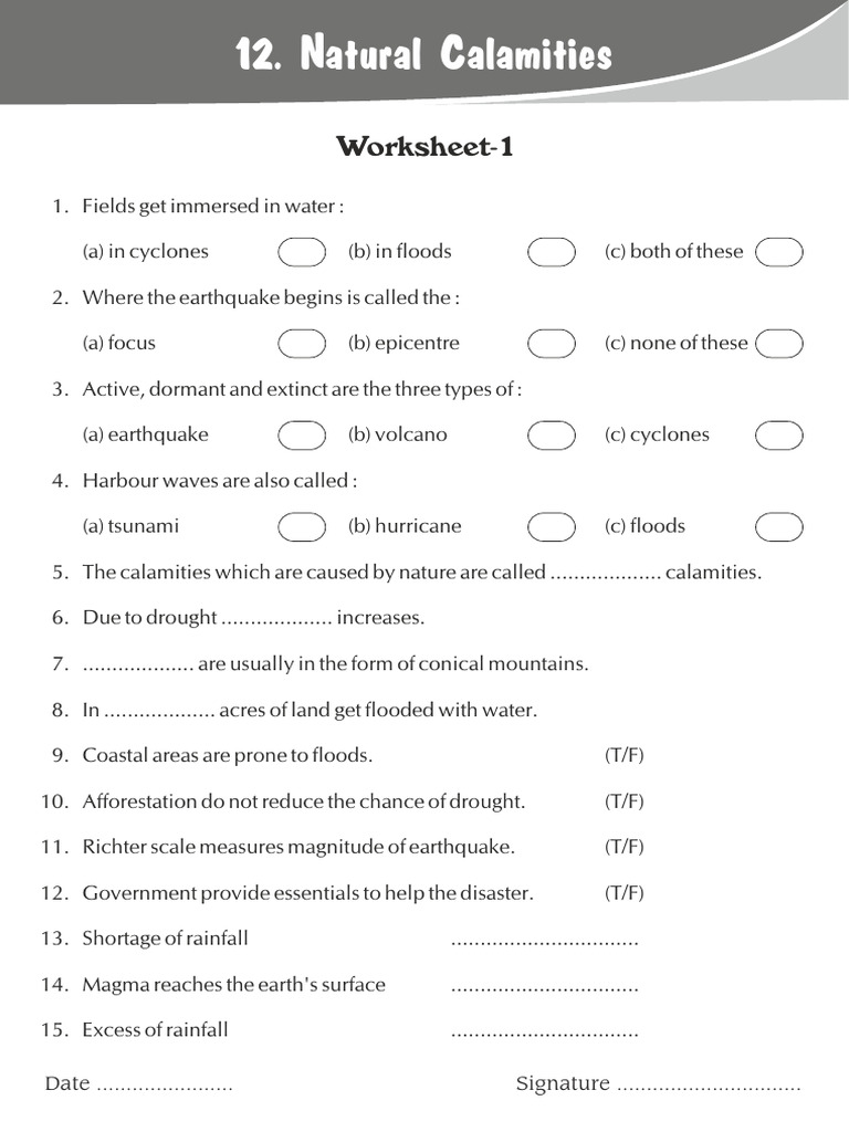 Understanding Natural Calamities Worksheet | PDF | Natural Disasters ...