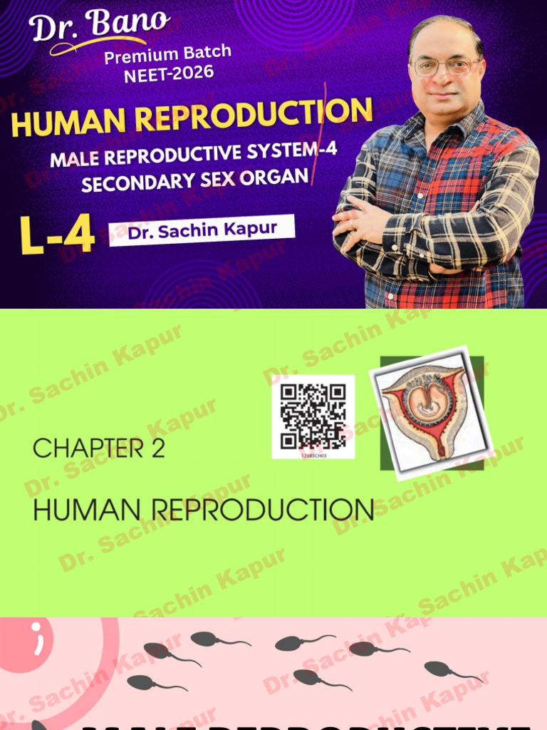 4 DR Bano Human Reproduction L 4 Male Reproductive 250519 220651 | PDF ...