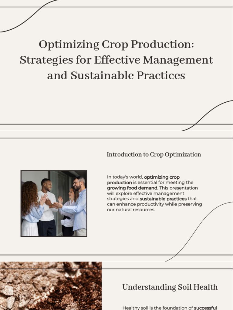 Sustainable Crop Production Strategies | PDF