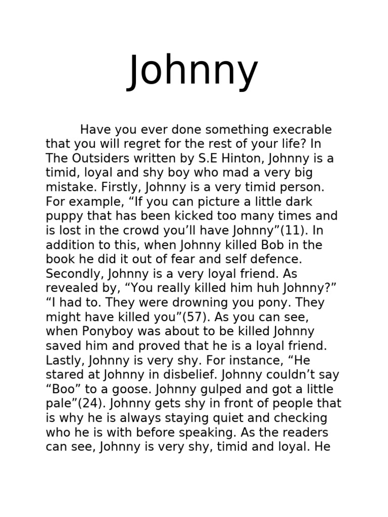 The Outsiders Paragraph | PDF