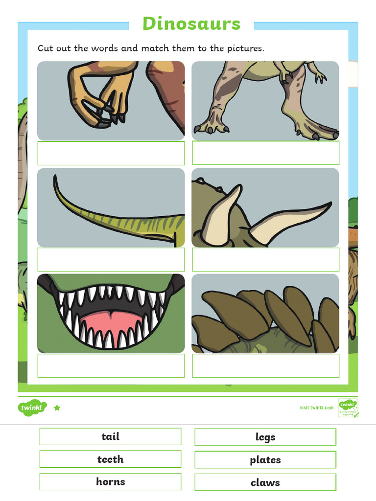 Dinosaur Reading Comprehension KS1 | PDF | Dinosaurs | Zoology
