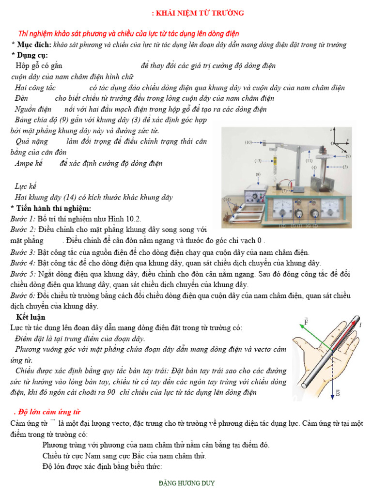 LT Bai 10 VL12 CTST Luc Tu - Cam Ung Tu | PDF